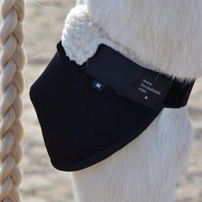 Hock Shield | The Solution to Hock Sores