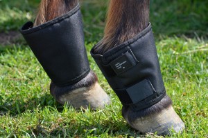 Click Fetlock Shield | Hock Shield