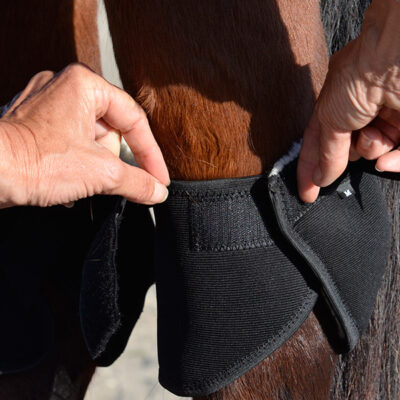 Our Products | Hock Shield