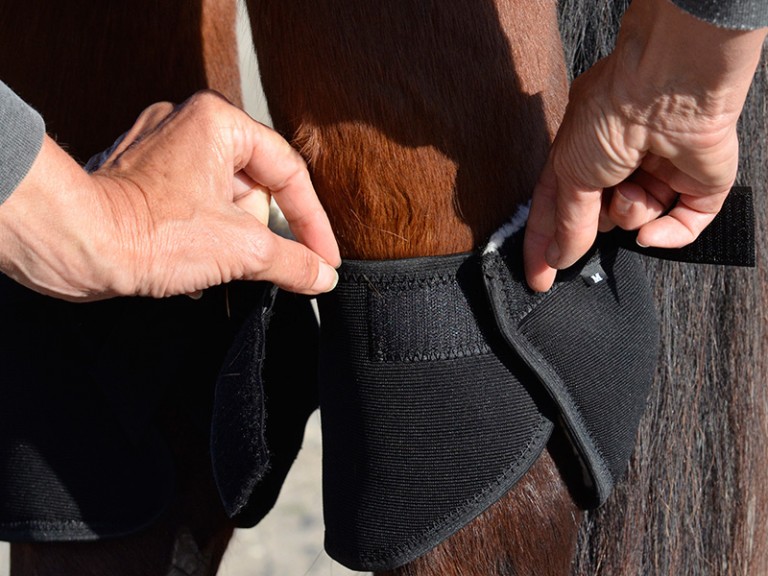 Product Info | Hock Shield