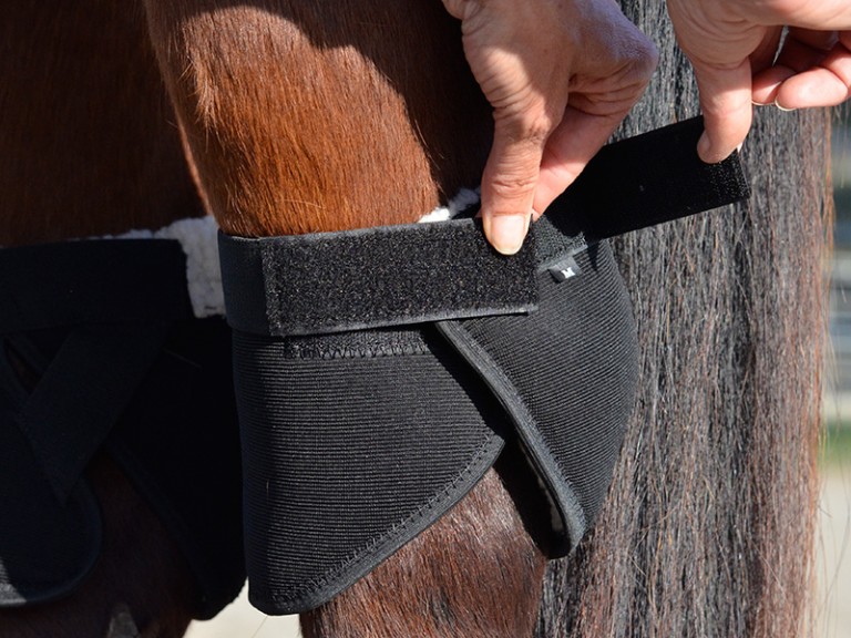 Product Info | Hock Shield