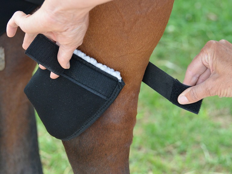 Product Info | Hock Shield