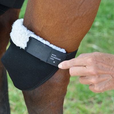 Our Products | Hock Shield