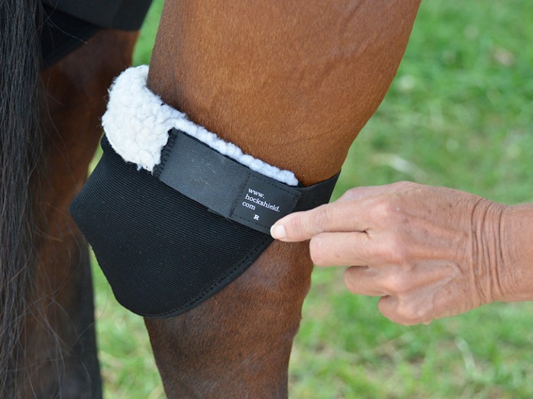 Product Info | Hock Shield