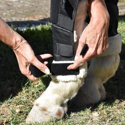 Our Products | Hock Shield