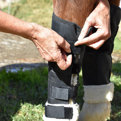 Our Products | Hock Shield