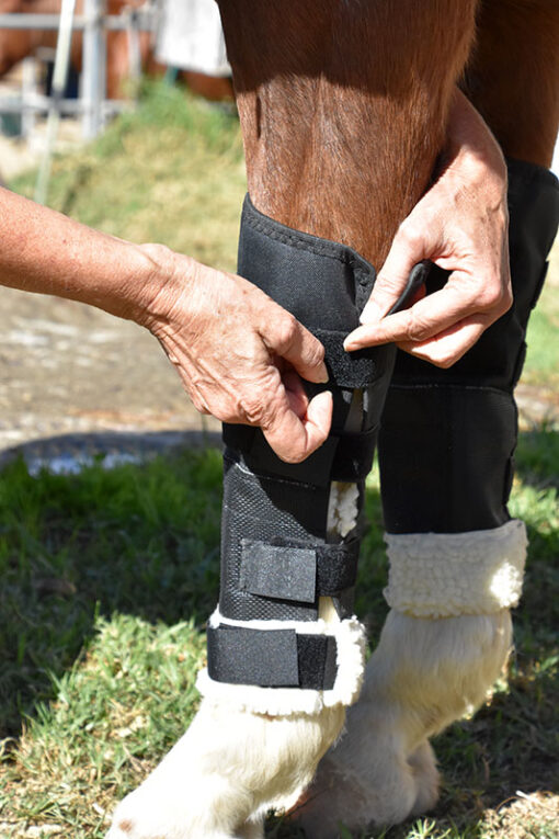 Product Info | Hock Shield