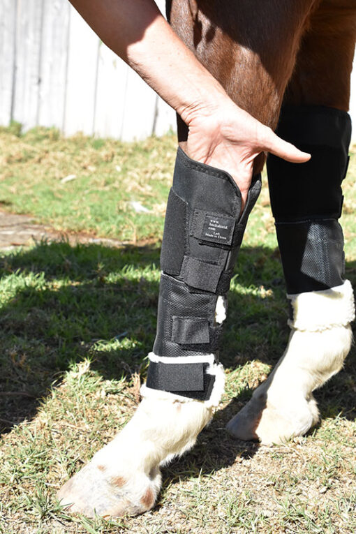 Product Info | Hock Shield